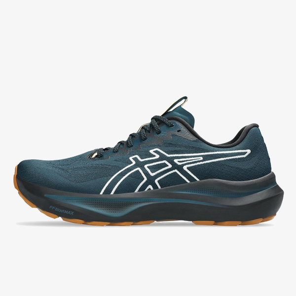 Asics GT-2000 14 TR | Sport Vision
